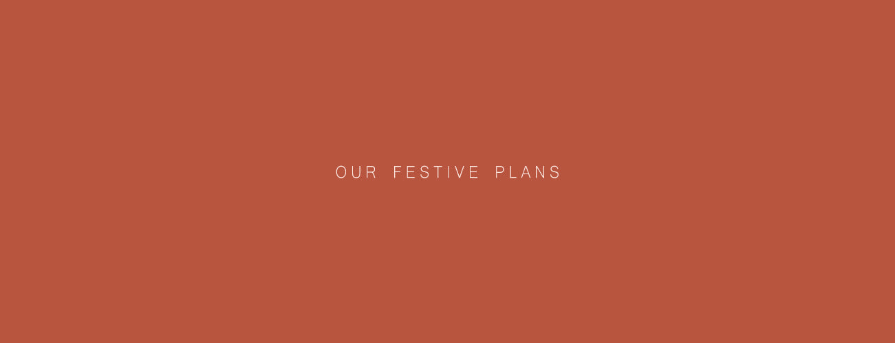 Our Festive Plans! — Bookishly
